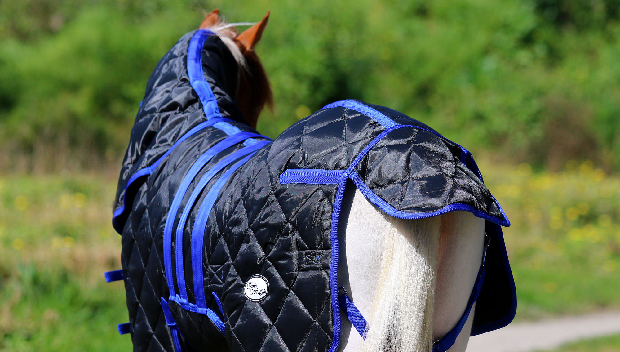 Darla Designs Rugs – Horse Rugs – Miniature Horse Rugs – Pony Rugs